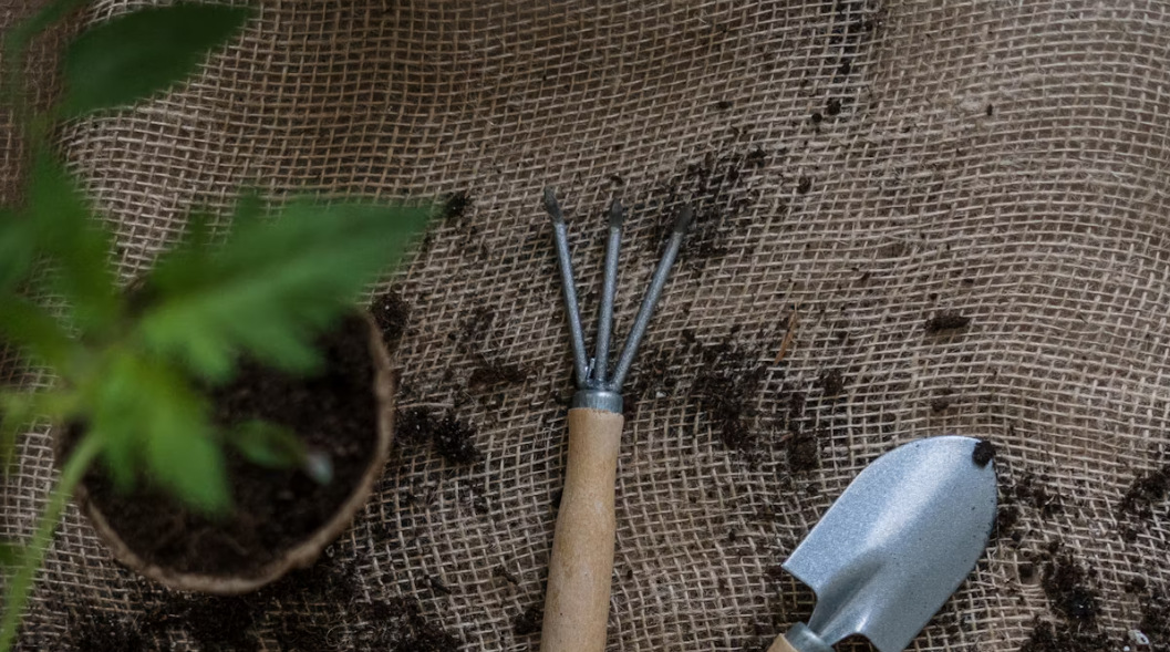Mastering Hand Rake Garden Tools: Types, Materials, and Maintenance ...
